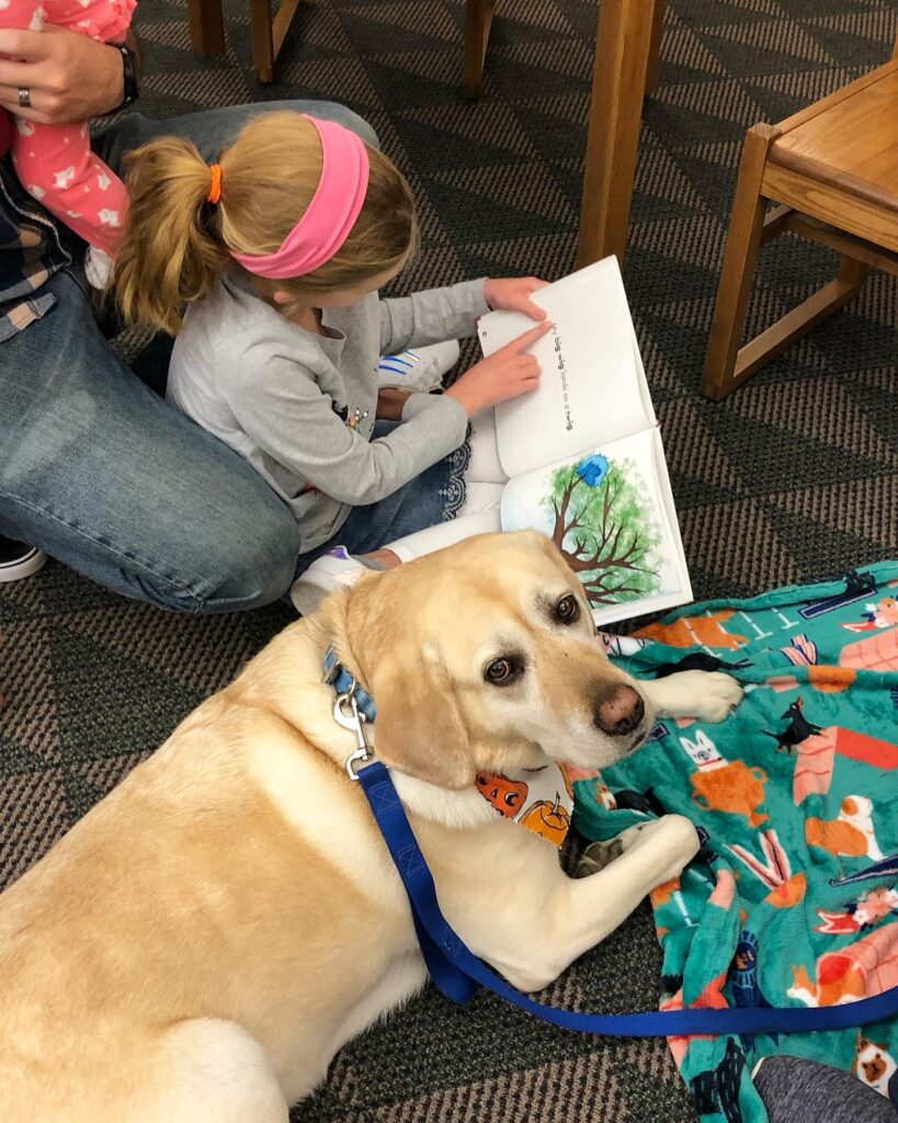 Penn Area Library – 2001 Municipal Court, Harrison City, PA 15636 | 724 ...