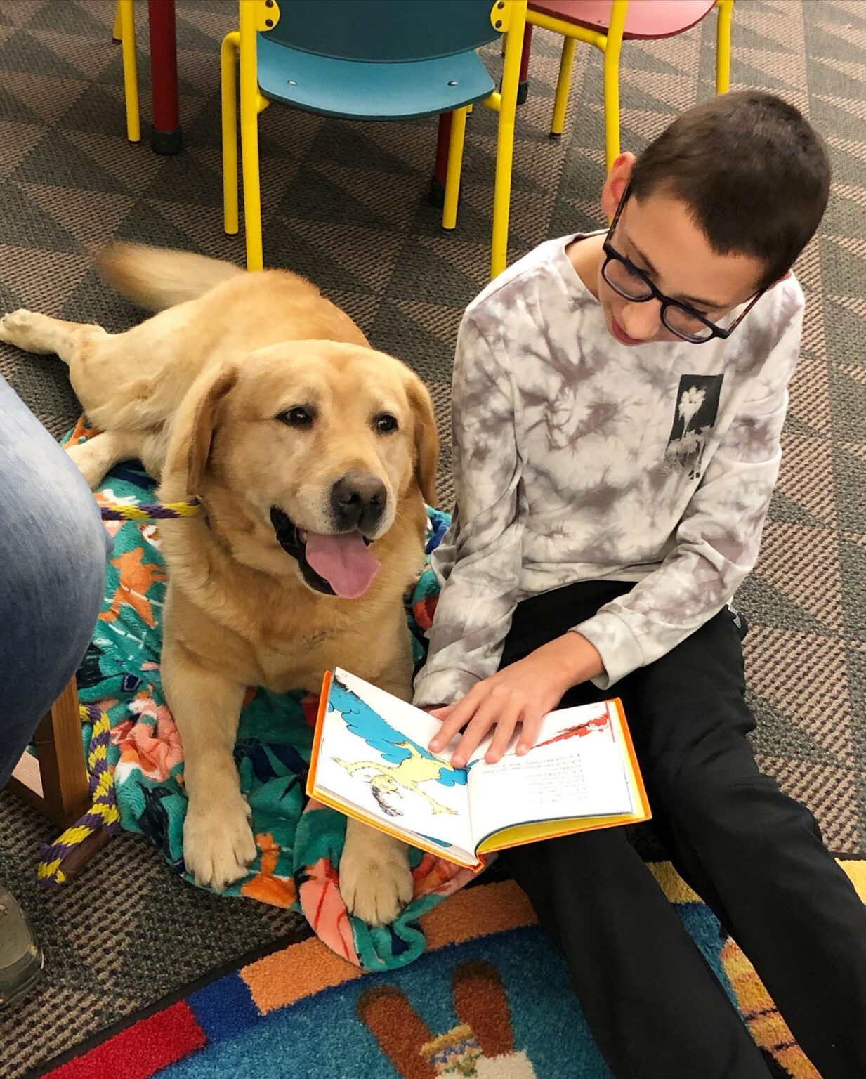 Penn Area Library – 2001 Municipal Court, Harrison City, PA 15636 | 724 ...